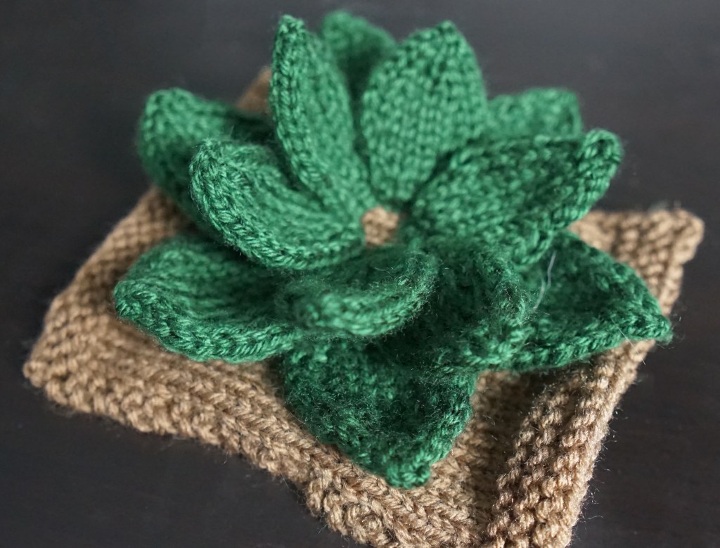 Knitted Succulent - Make Craft Game